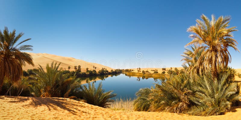 Israel Desert Oasis