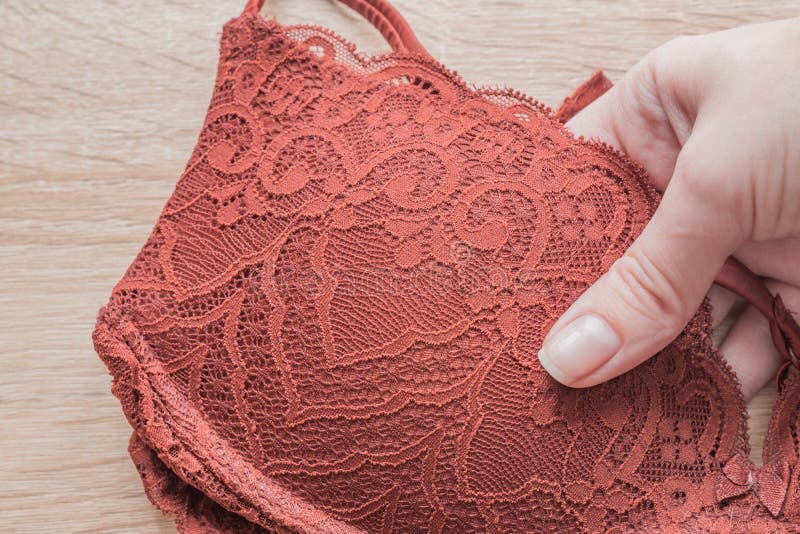 Lace bra in wooman hand stock photo. Image of sensual - 177683434