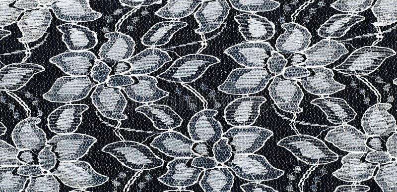 Lace Fabric Texture. Background Stock Photo - Image of decoration ...