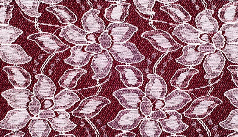Lace Fabric Texture. Background Stock Photo - Image of flower ...