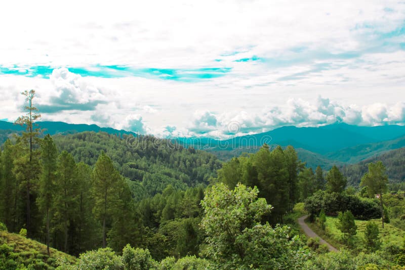 Lace Texture Background Overlay Abstract Textured Stock Photo - Image ...