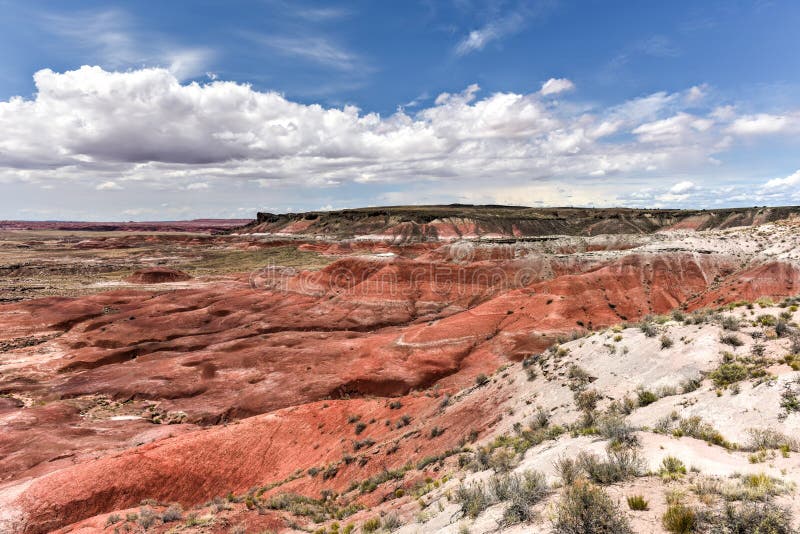 Lacey Point - Forest National Park Aterrorizado Foto de archivo ...