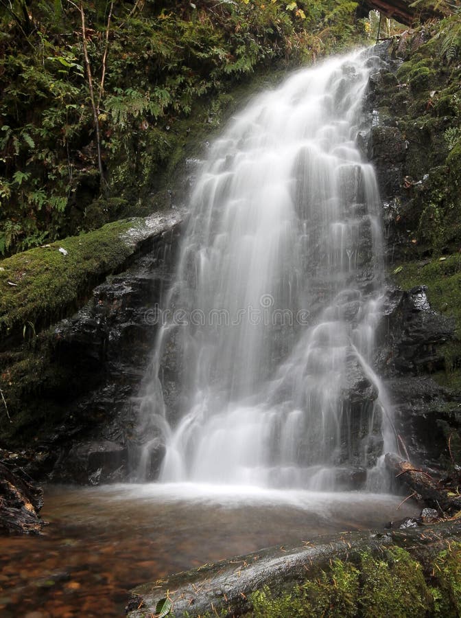 Lacey Waterfall in the Forest Stock Image - Image of outdoors, fall ...