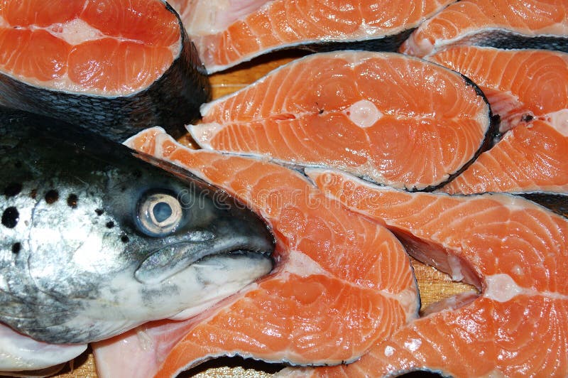 Lachse stockfoto. Bild von schnitt, fische, markt, fleisch - 32216380