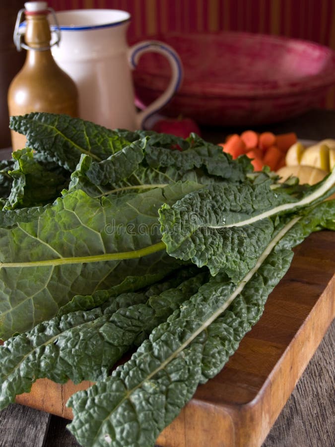 Lacinato Kale stock photo. Image of lacinato, rustic, greens - 7079154