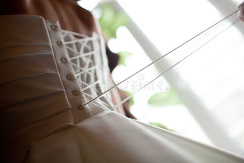 Lacing the wedding dress. stock image. Image of bride - 151968687