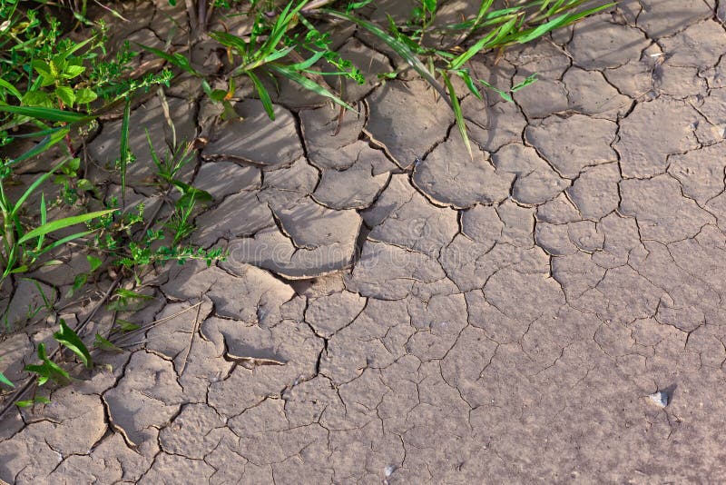 Lack of water stock photo. Image of aridity, water, desert - 256128384