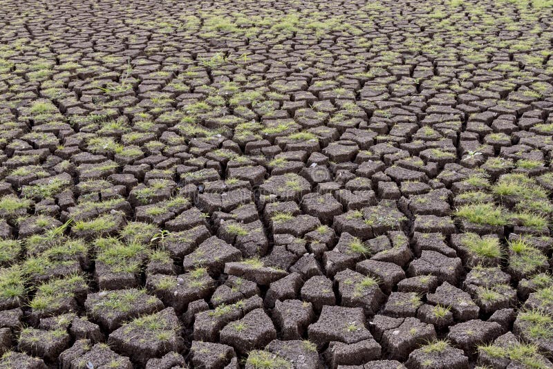 Lack Of Water In Reservoir Fields Stock Photo - Image of flourish ...