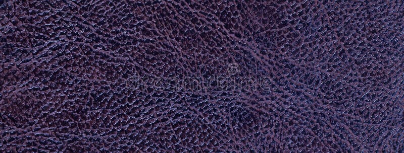 Lacquered Dark Violet Leather Texture Background with Pattern, Macro ...