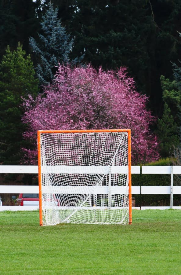 Lacrosse Goal stock photo. Image of grass, team, athletic - 39991764