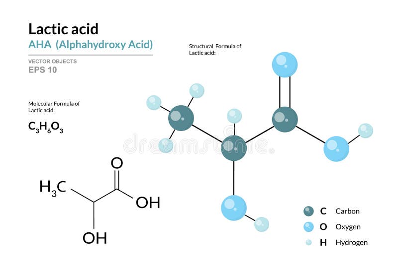 Lactic Acid Fermentation Process Scheme, Labeled Vector Illustration ...