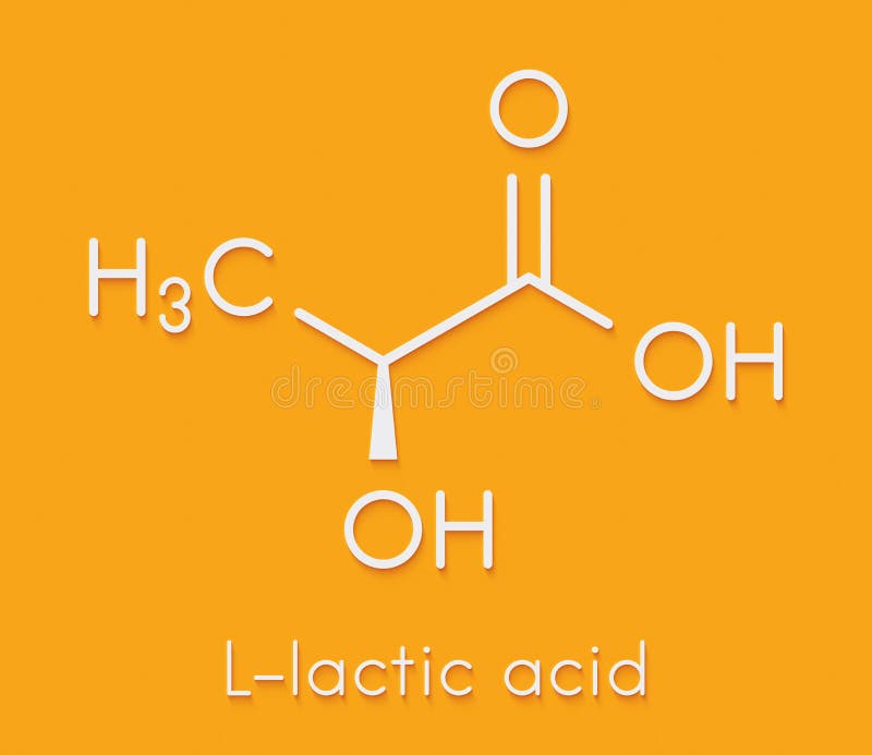 Lactic Acid Fermentation Process Scheme, Labeled Vector Illustration ...