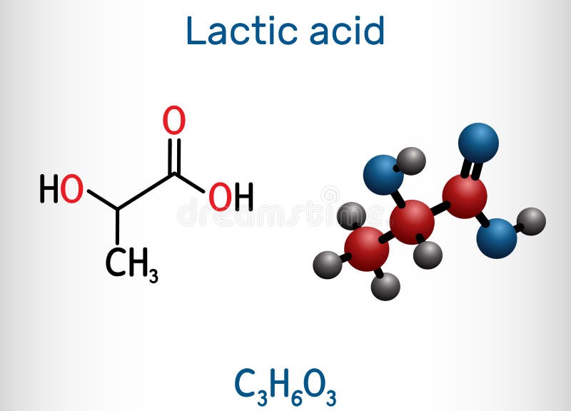 Lactic Acid Fermentation Process Scheme, Labeled Vector Illustration ...