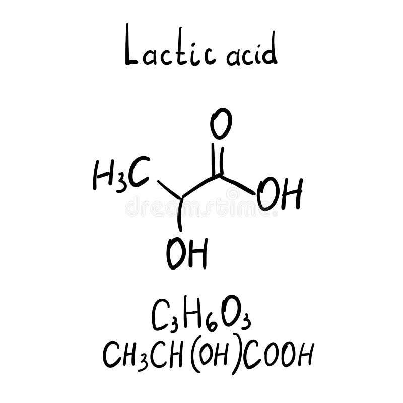 Lactic Acid Fermentation Process Scheme, Labeled Vector Illustration ...