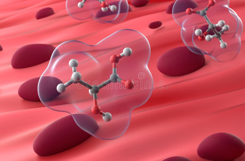 Lactic Acid in Muscle Tissue - 3d Illustration Closeup View Stock ...