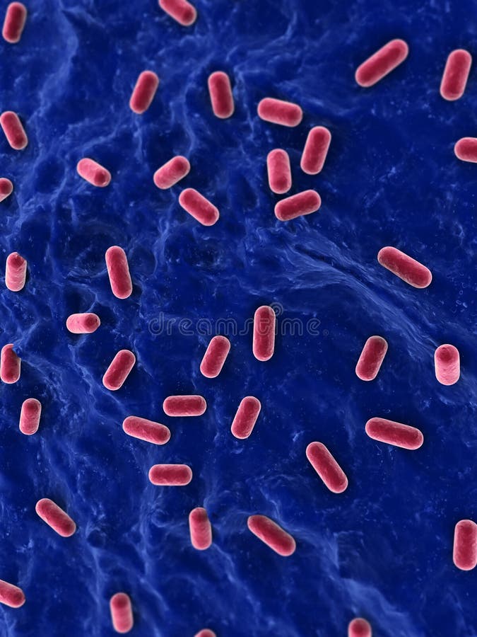 Bazillus Bakteriumnahaufnahme Stock Abbildung - Illustration von ...