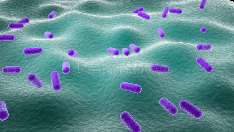 Lactobacille illustration stock. Illustration du science - 11953406
