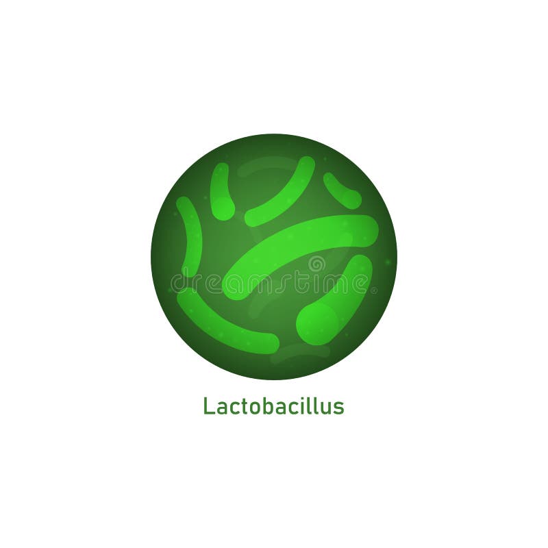 Lactobacillus Icon - Microscope View of Green Probiotic Bacteria Inside ...