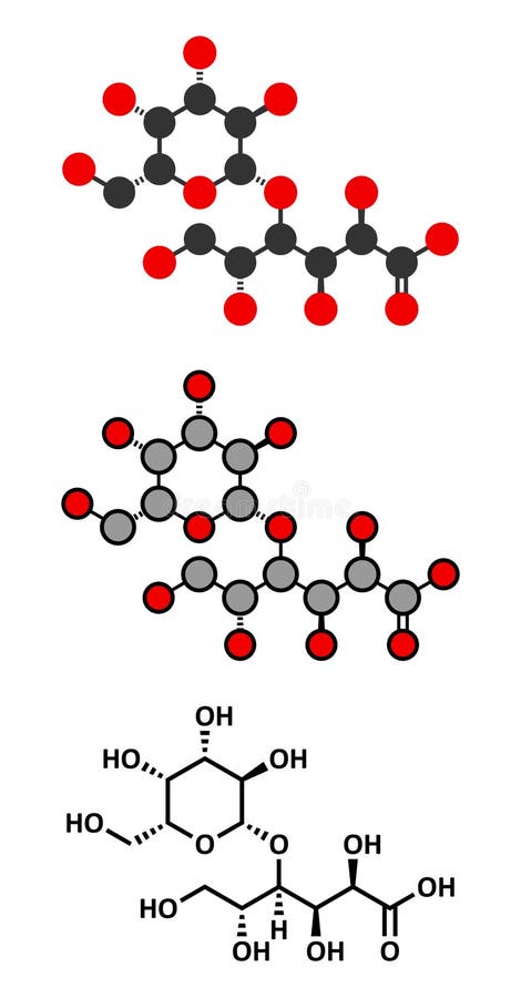Lactobionic Acid (lactobionate) Molecule. Stylized 2D Renderings and ...