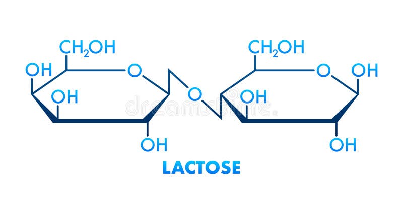 Molecula De Lactose