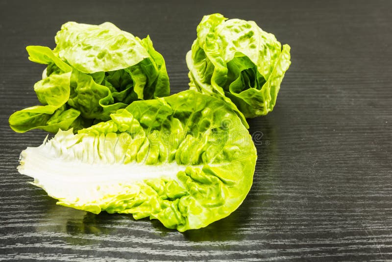 Lactuca De La Lechuga Romana Sativa Imagen de archivo - Imagen de ...