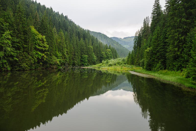 Lacul Rosu Der Rote See, Ost-Karpaten Stockfoto - Bild von hügel, baum ...