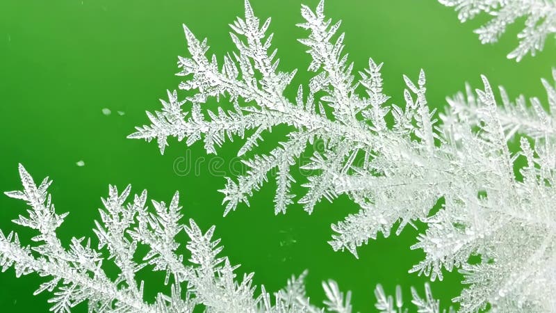 Lacy Patterns of Frost Extend in Various Directions Creating a ...
