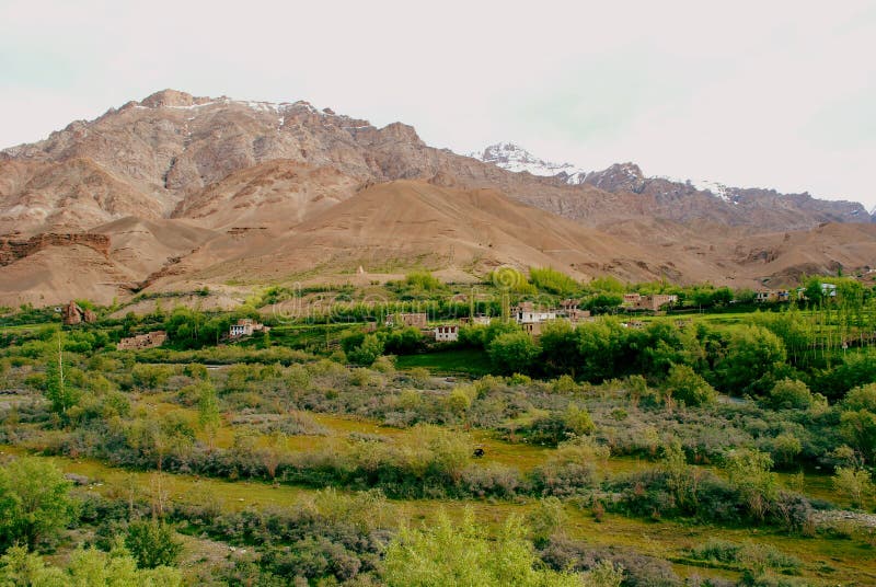 Ladakh Mountains and Greenery Stock Photo - Image of asian, dramatic ...