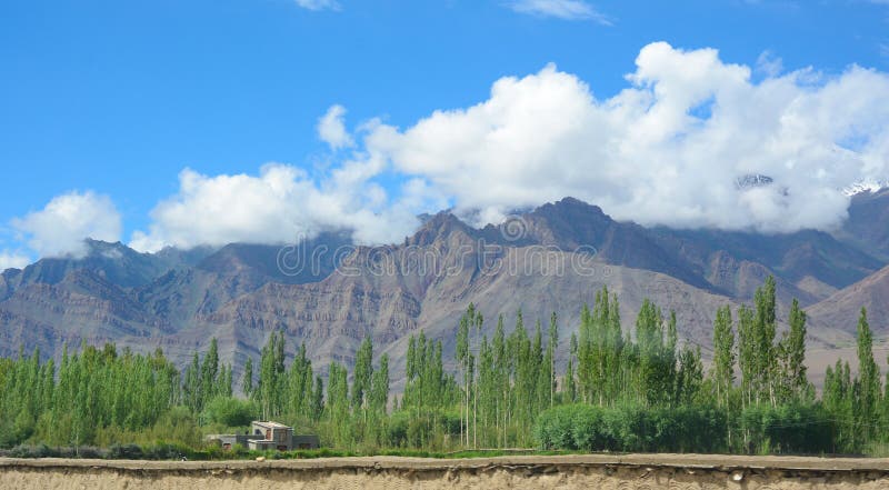 Ladakh Range in North of India Stock Photo - Image of summer, highlands ...