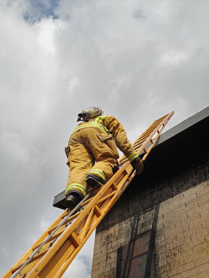 Firefighters Holding Ladder Stock Image - Image of close, colour: 5025133