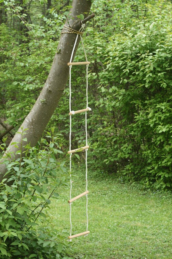 Ladder stock image. Image of hanging, danger, play, climbing - 2424523