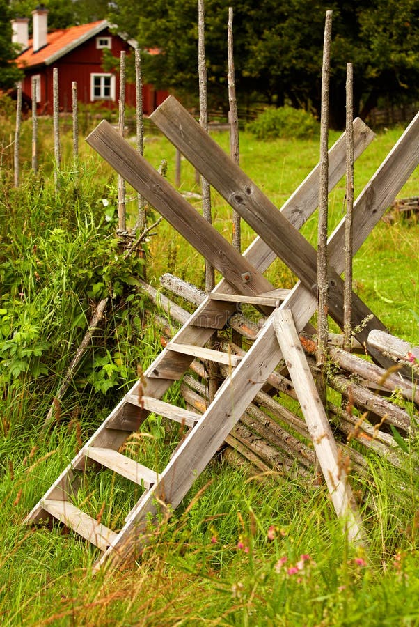 Ladder stock image. Image of fenced, natural, grazing - 25863067