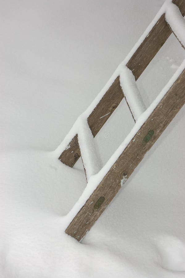 Ladder stock image. Image of nature, ladder, garden, frost - 29459725