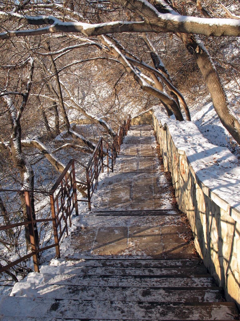 6,144 Ladder Leaf Stock Photos - Free & Royalty-Free Stock Photos from ...