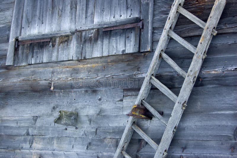 Rustic Ladder stock photo. Image of wood, rustic, ladder - 10658726
