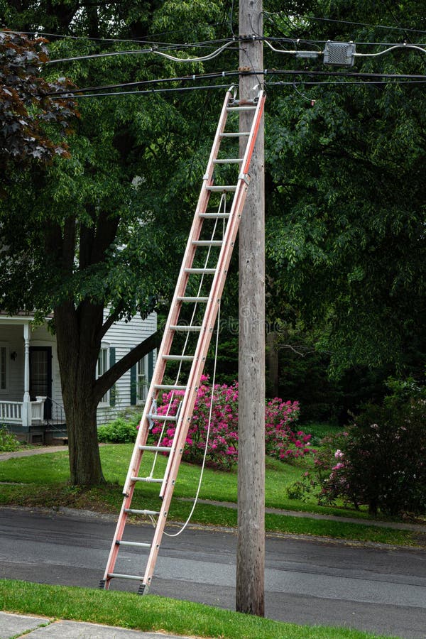 Ladder Up Against Utility Pole Stock Image - Image of utility, repair ...