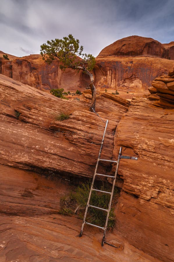 Ladder on a Arch Trail stock image. Image of utah, moab - 31479099