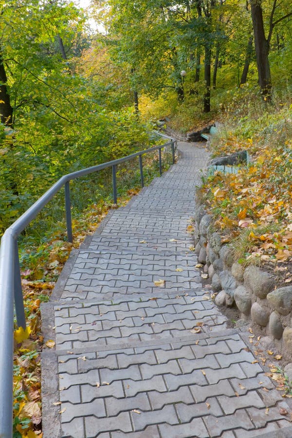 Ladder in autumn park. stock photo. Image of concrete - 11195214