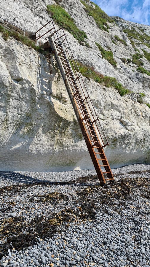 Ladder on beach stock image. Image of geology, track - 244652989