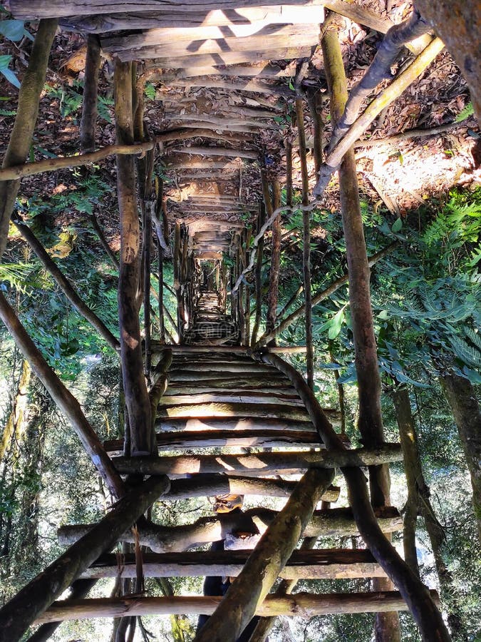 Ladders and Trails Covered with Snow Stock Photo - Image of city, cold ...