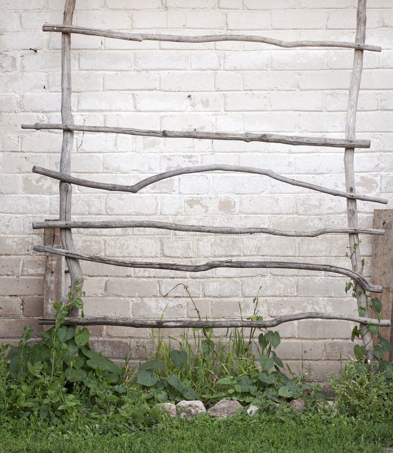 Ladder for Creeper Plants, Wall Background Stock Image - Image of plant ...