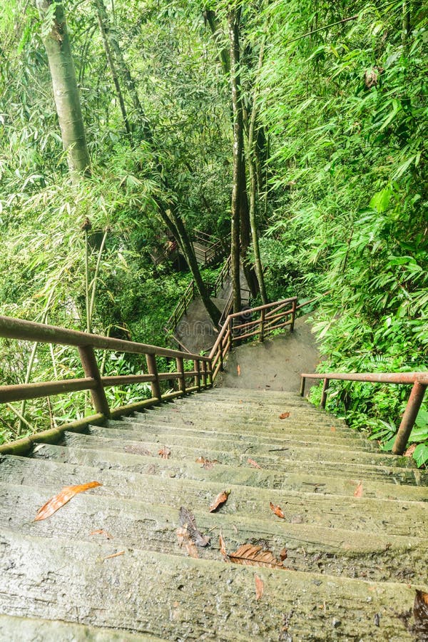 The ladder falls2 stock photo. Image of water, green - 58408450
