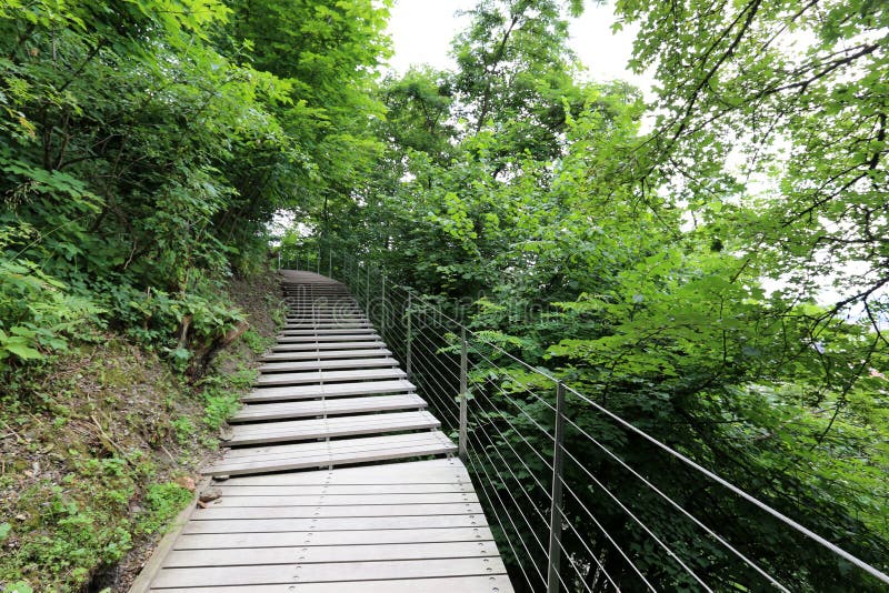 The Ladder Consists of a Series of Steps for Lifting and Lowering Stock ...