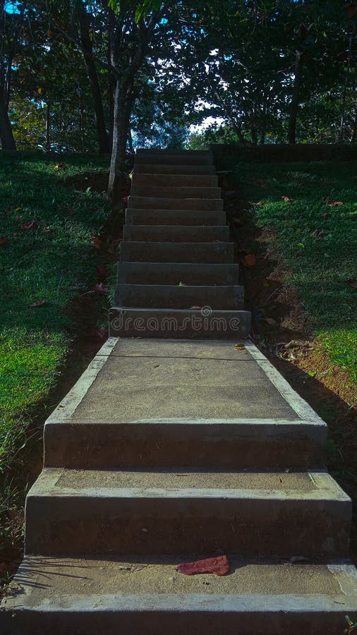 High Ladder stairs stock photo. Image of goal, high - 134689194