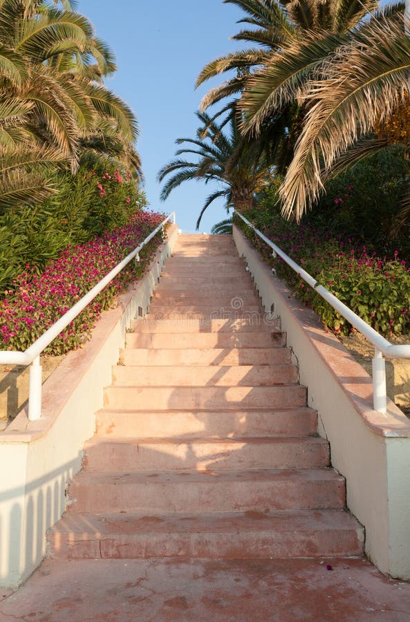 Ladder stock image. Image of green, beautiful, background - 34939277