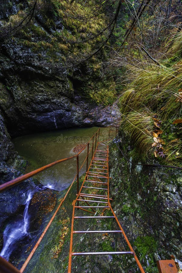 Waterfall And Ladder In Kvacianska Valley Stock Photo - Image of forest ...