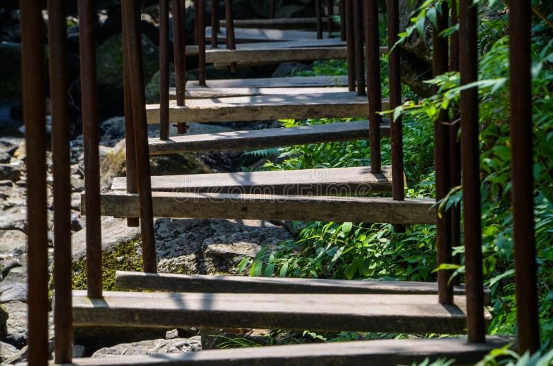 Ladder for obstacle course stock image. Image of agility - 43570765