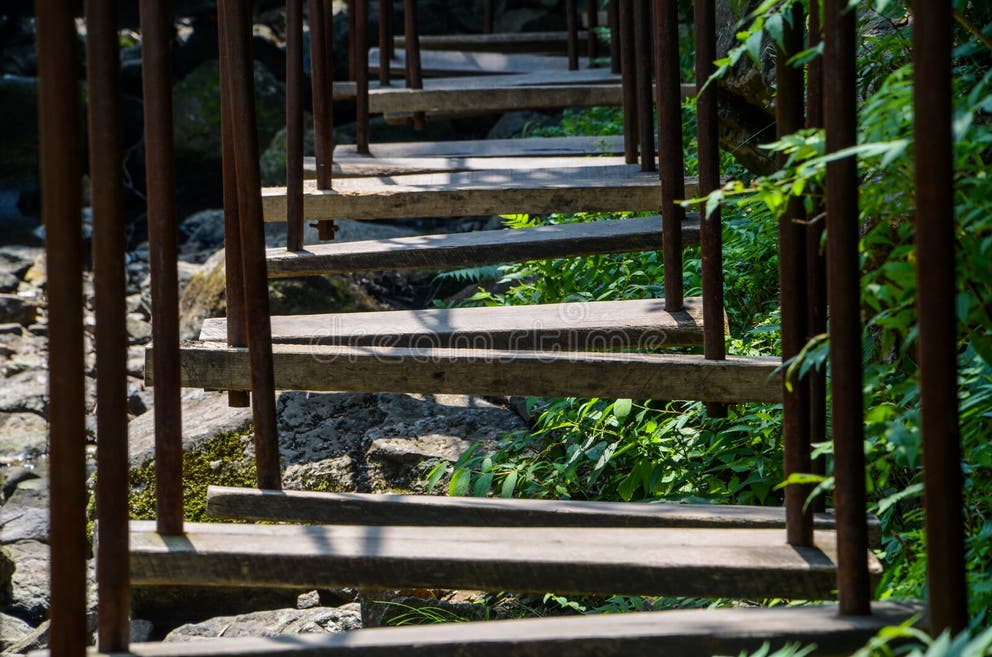 Ladder for obstacle course stock image. Image of agility - 43570765
