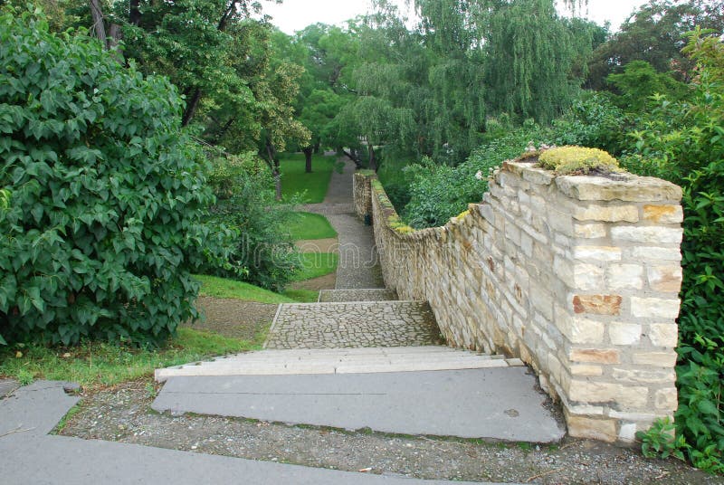 Ladder in park stock image. Image of direction, leaf - 10877037