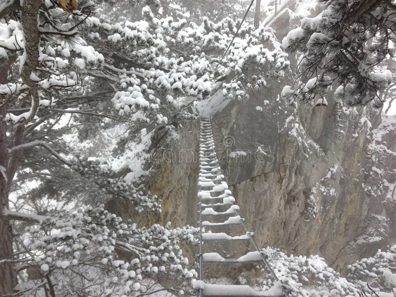 A Ladder on the Snow Capped Mountain Stock Photo - Image of pine ...